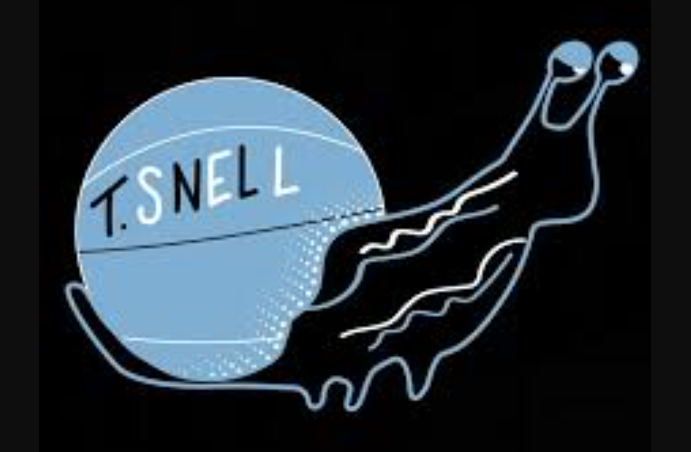 Collaborations with our Community Partners – ALLIANCE FOR AUTISM